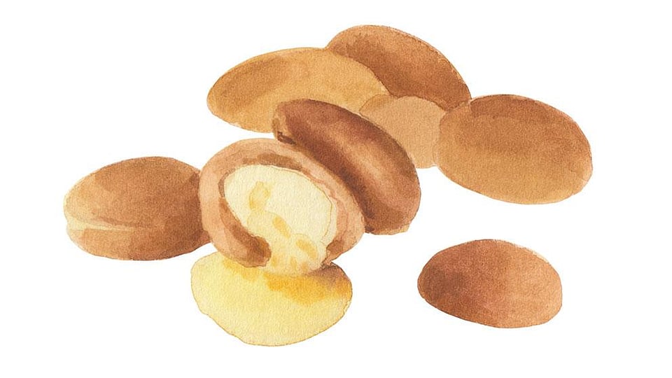 Argania Spinosa Kernel Oil - Weleda